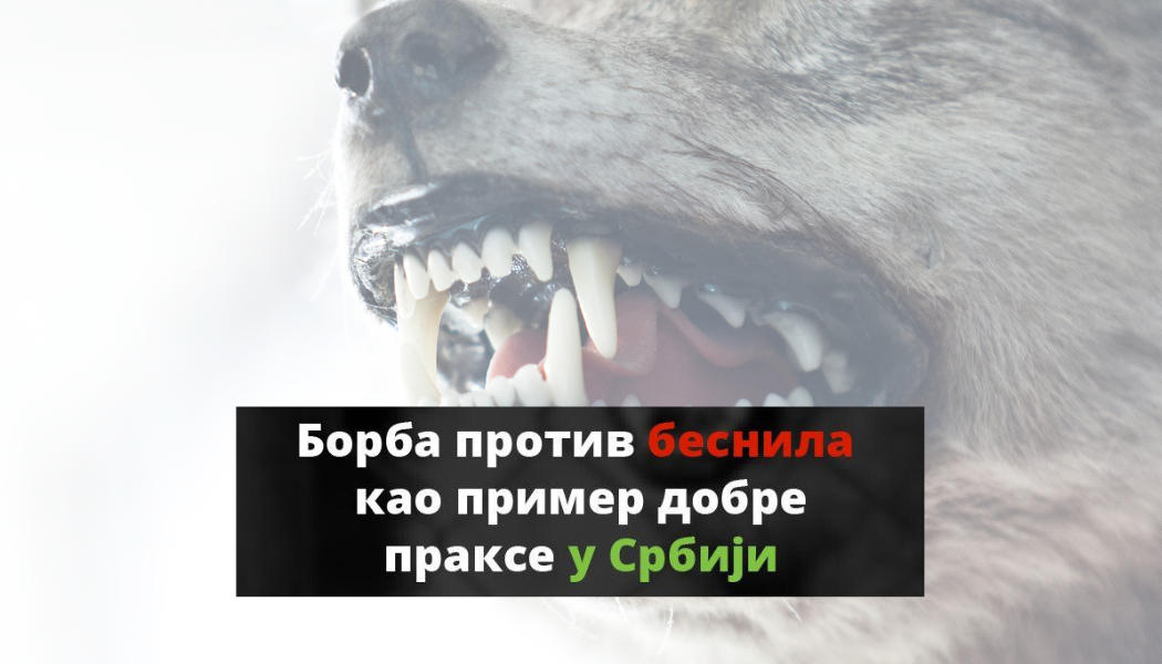 Druga vrsta besnila - Eko straža